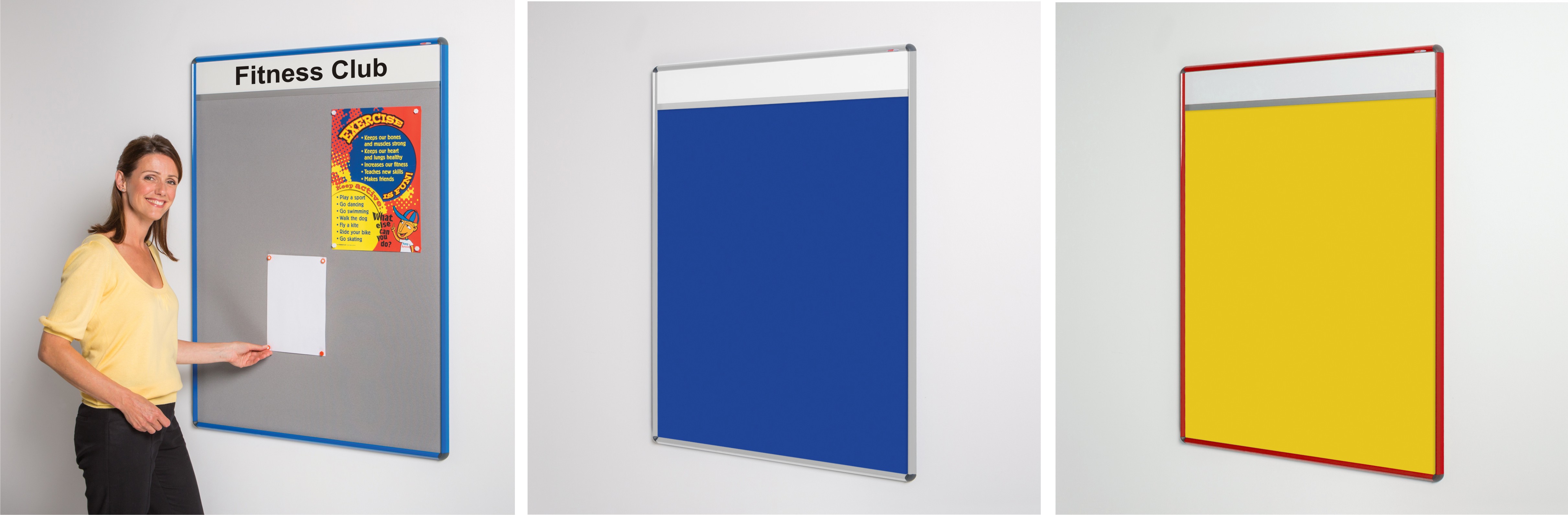 Themeboard - Shield Design Notice Boards - Signs 4 Schools